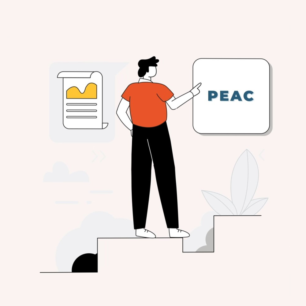 Información General del PEAC - Peac Aragón